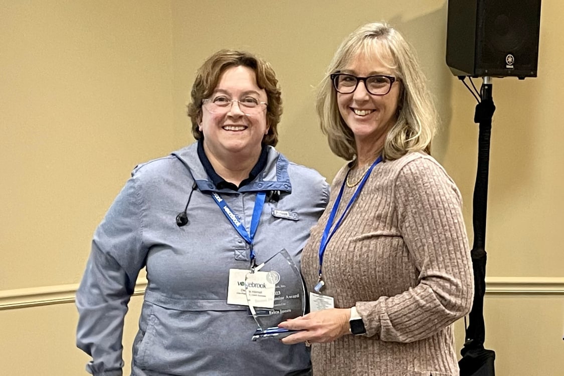 Voicebrook's Annual Awards: The Best of the Best